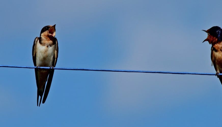 Latest Technology Insights - Engineering