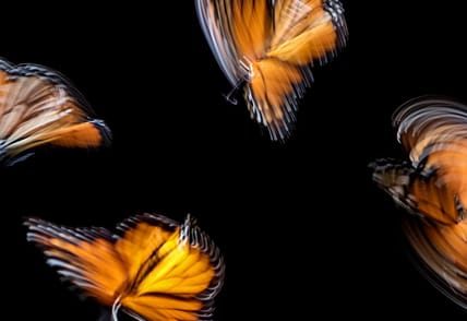 Top 20 Tools for Android Development