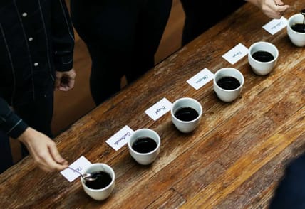 Information Architecture for Web Design: Step by Step Guide