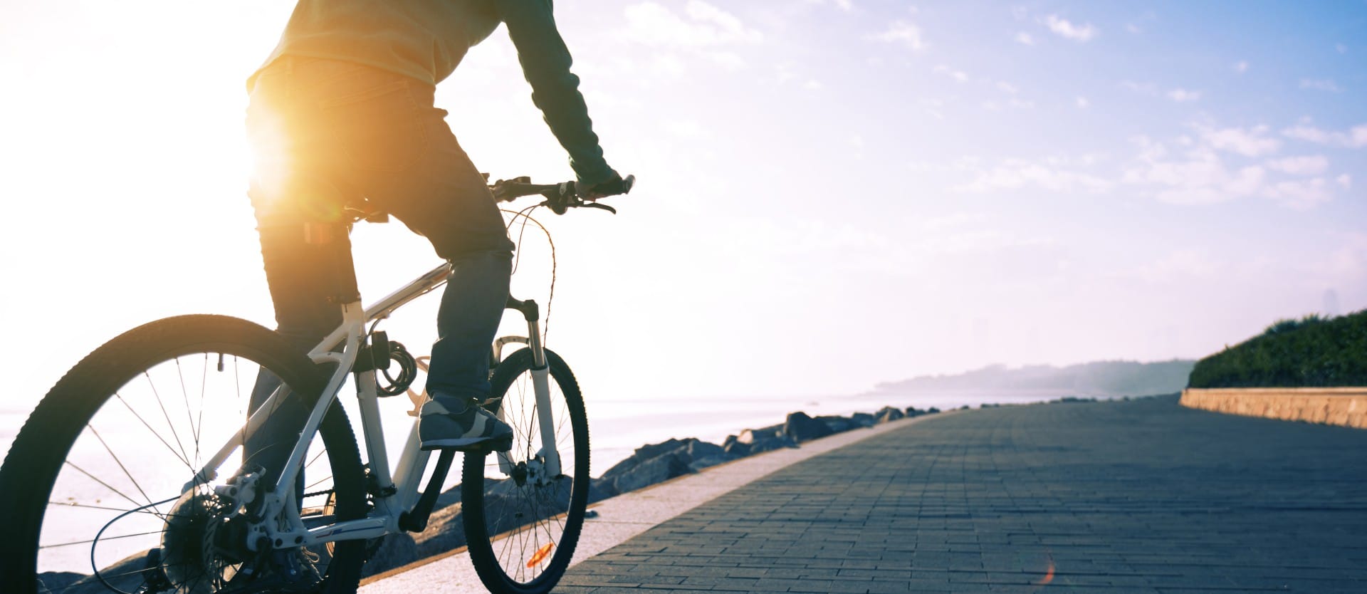 AltexSoft and Bicycle Blue Book: Automating a Product Catalo